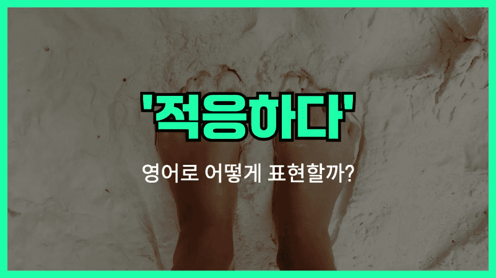 '자리를 잡다' 영어로 어떻게 표현할까 👣 - 적응하다, 안정되다 영어로